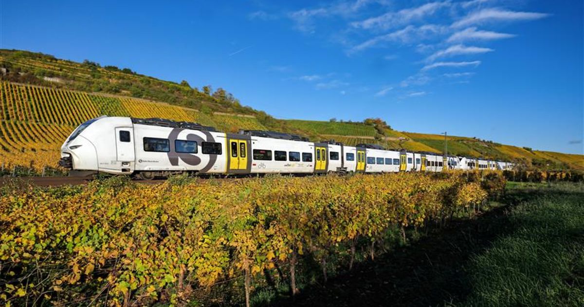 Ab 14. Dezember 2025: Neue Linienbezeichnungen und Direktverbindungen ...